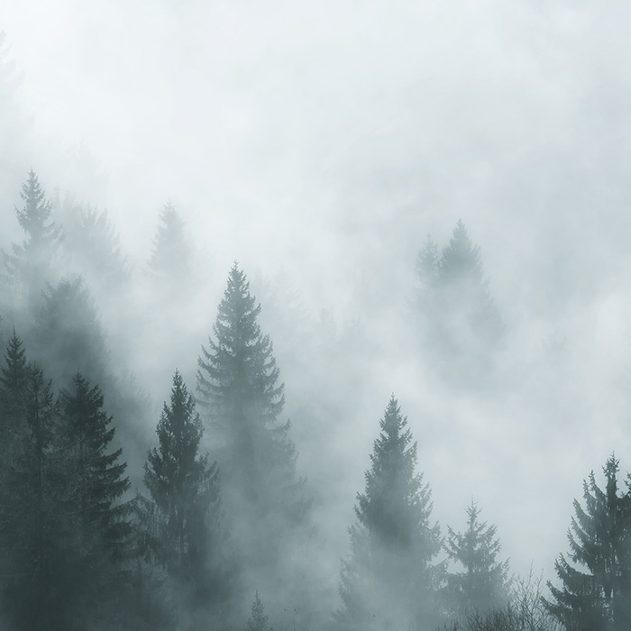 ESG Reporting 101: What You Need To Know Before Compiling Your Next ESG ... ESG Reporting 101: What You Need To Know Before Compiling Your Next ESG ...